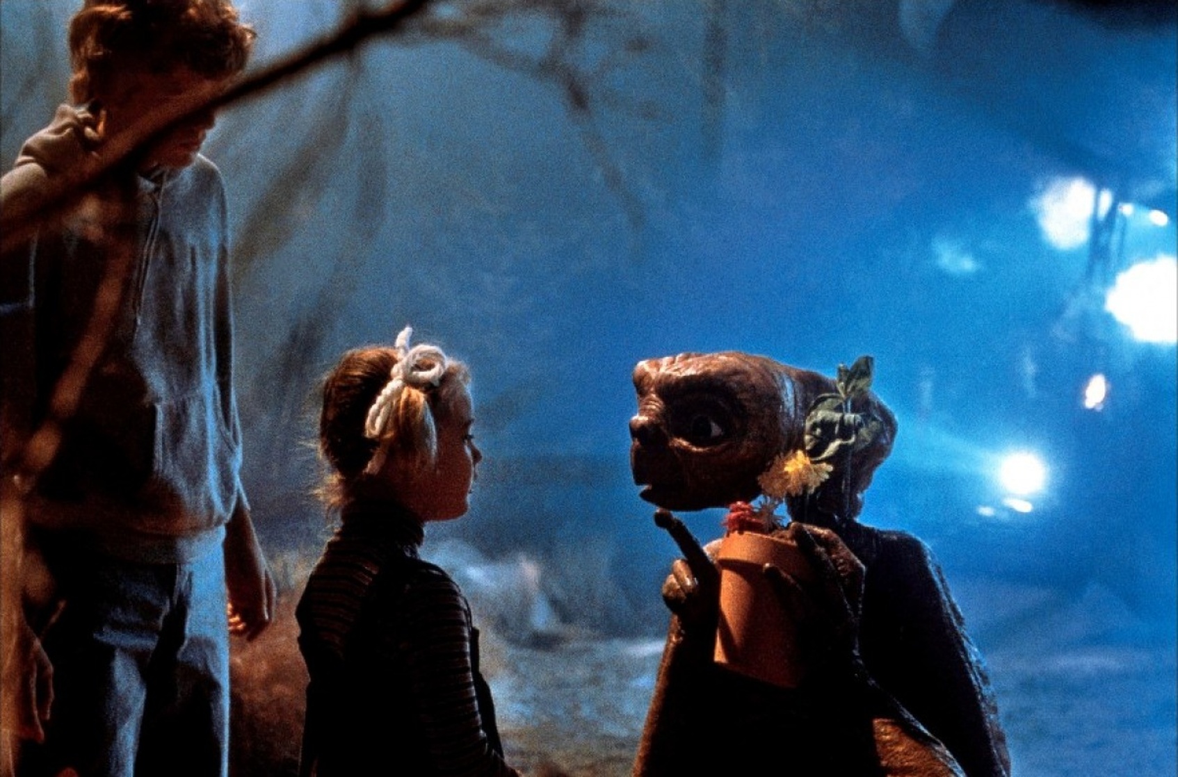 E.T. the Extra-Terrestrial (1982) picture