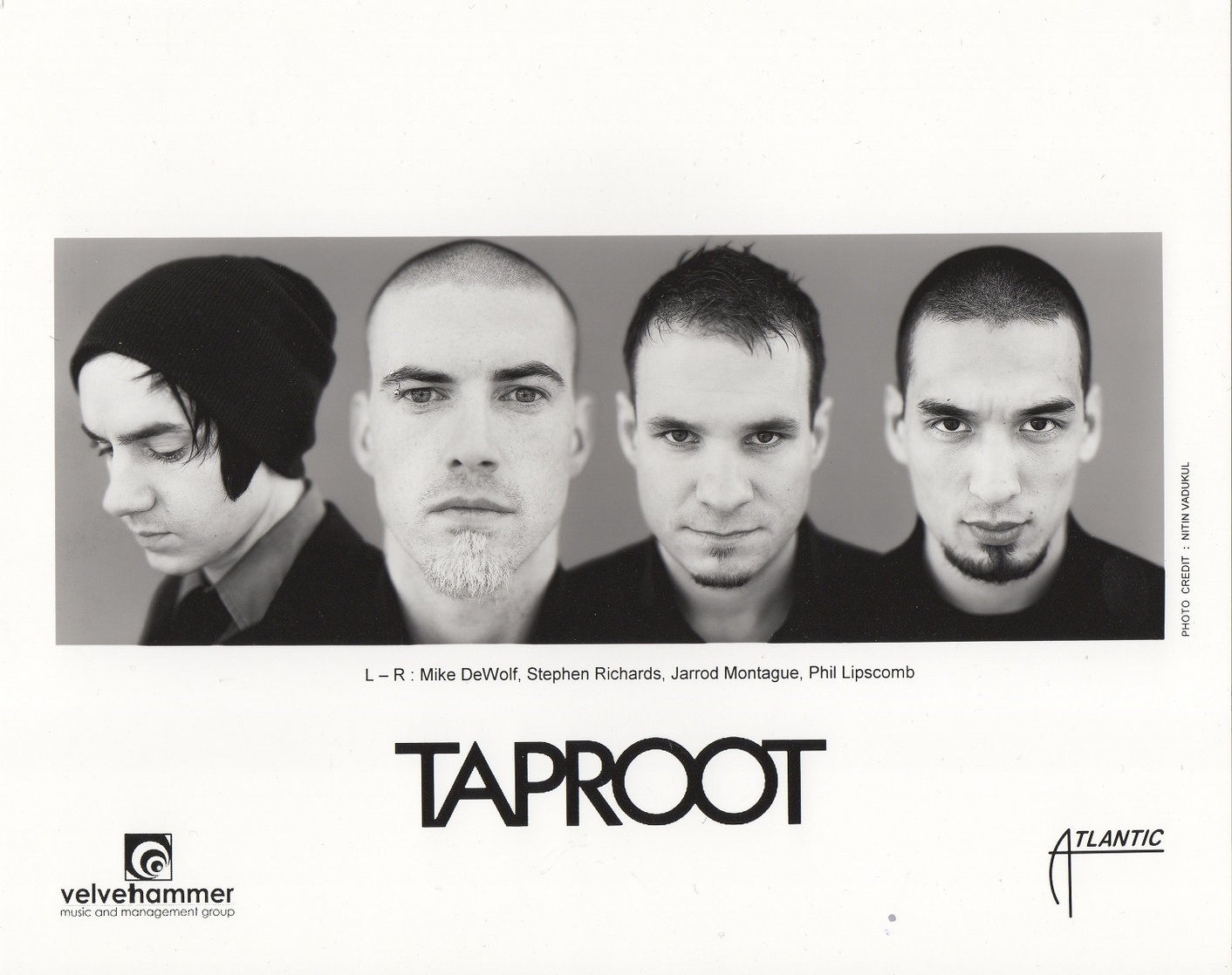 Picture of Taproot
