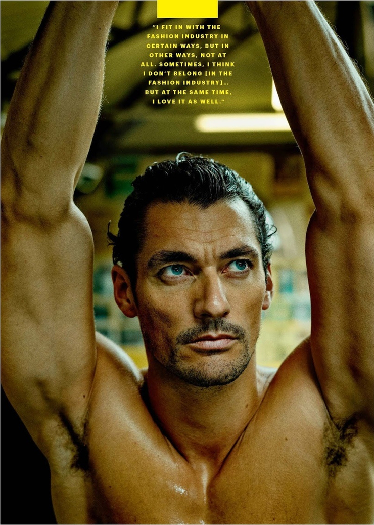 Picture of David Gandy