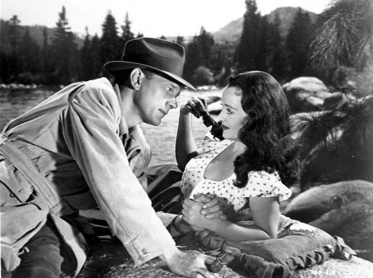 Image of Beyond the Forest (1949)