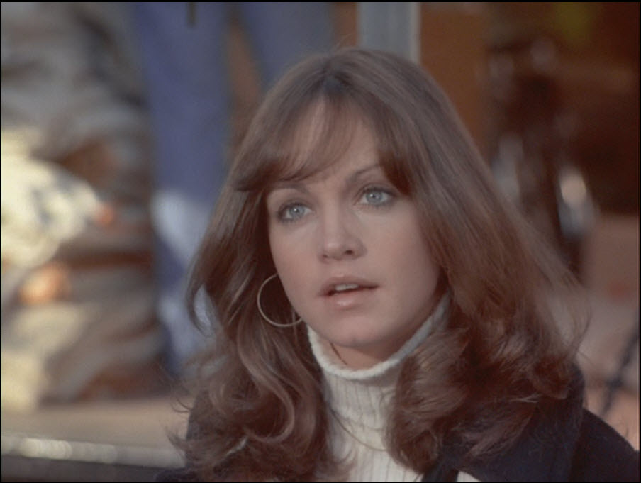 Picture of Pamela Sue Martin
