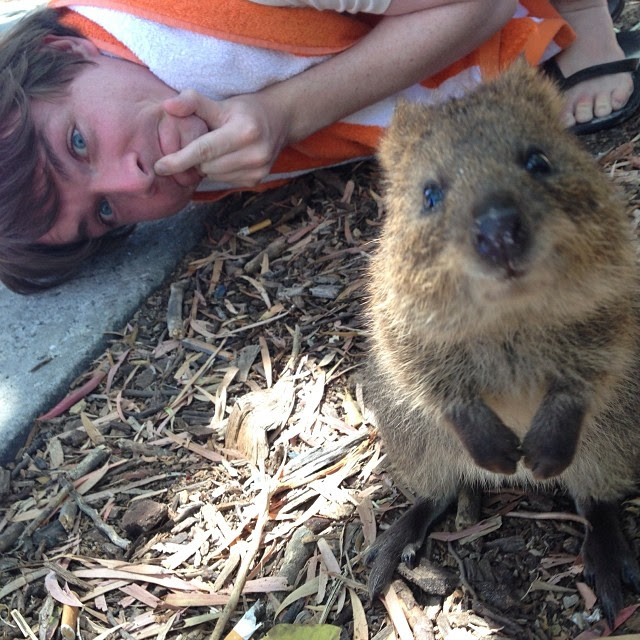 Quokka poses for the camera with a tourist