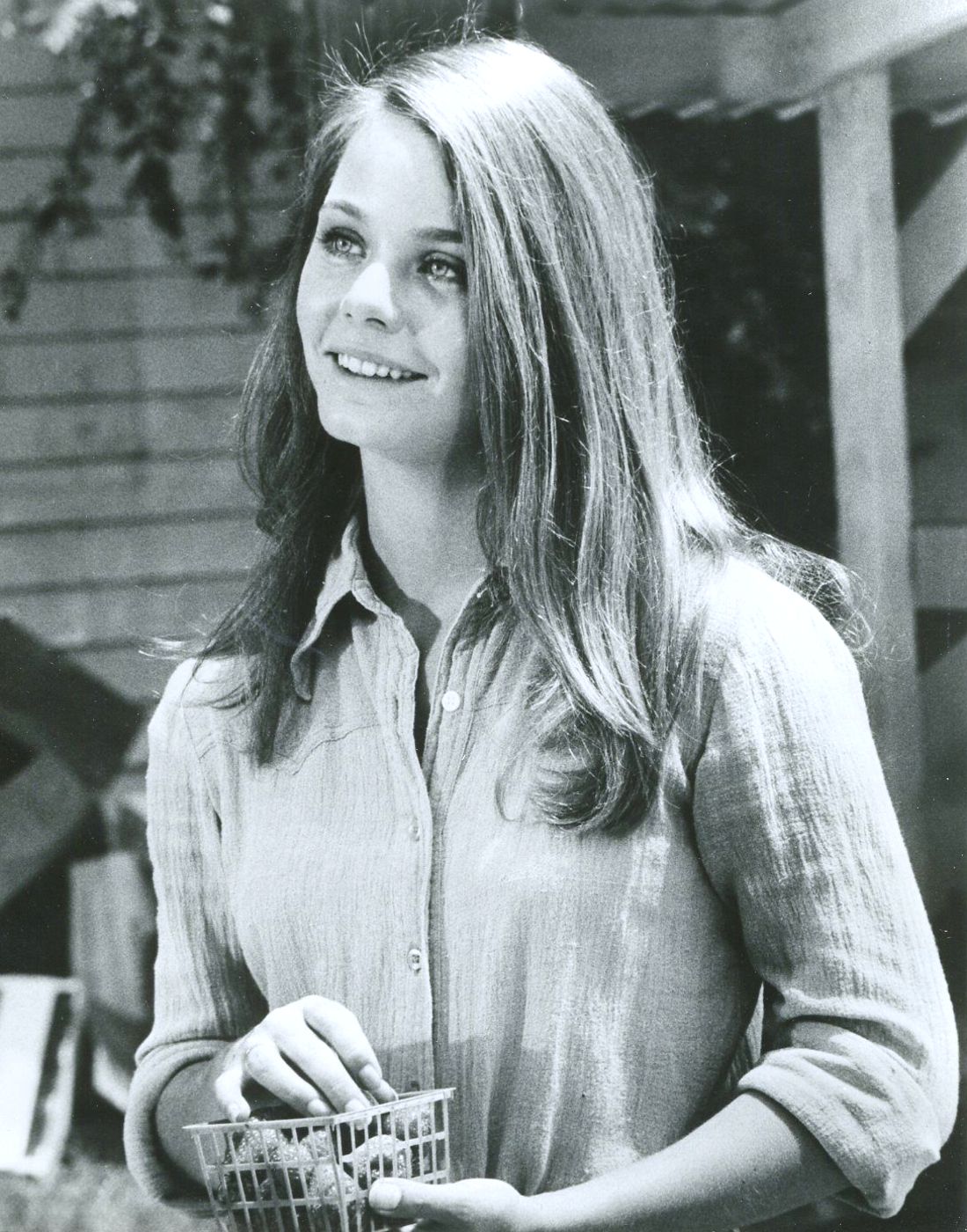 Susan Dey image