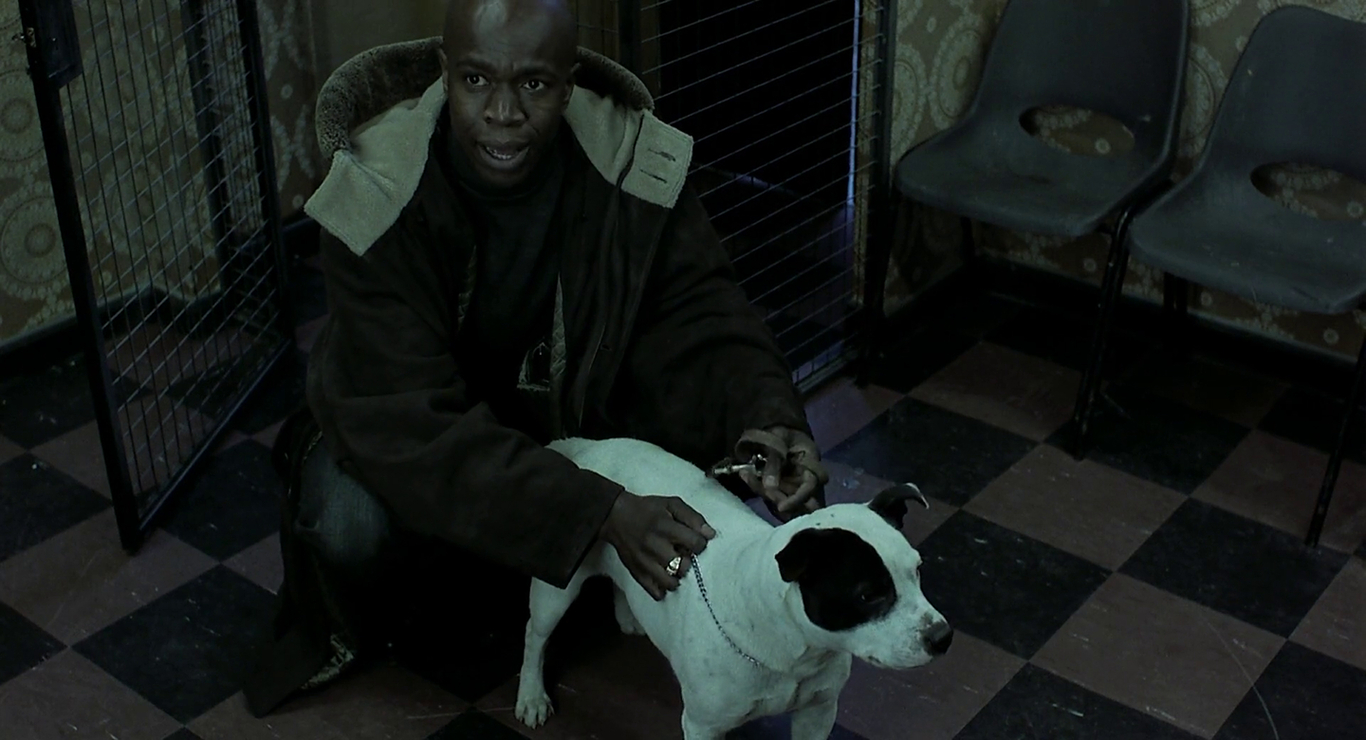 Snatch - Vinny's Dog 1