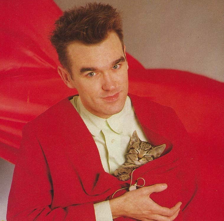Picture of Morrissey