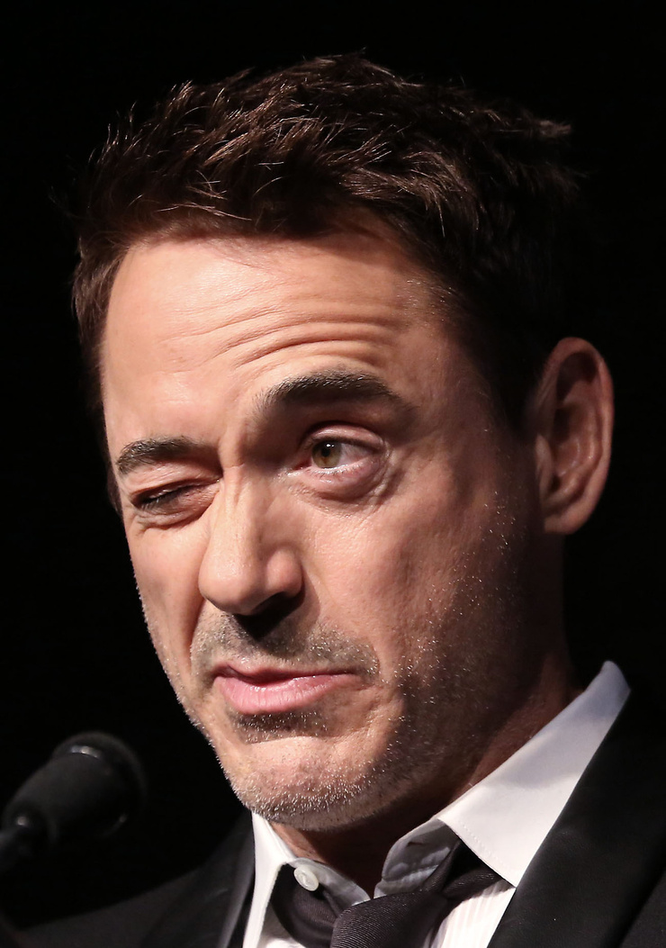 Picture of Robert Downey Jr.