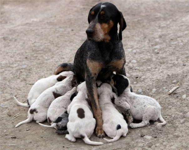 Animal Candids 15; Famil;y, part 2