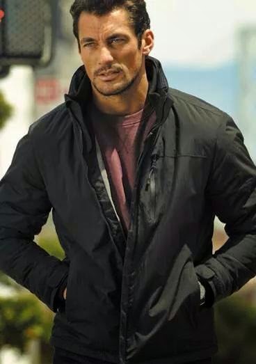 Picture of David Gandy