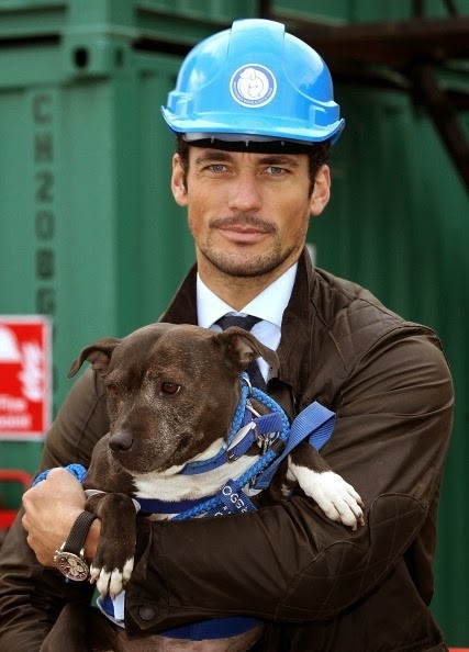 David Gandy image