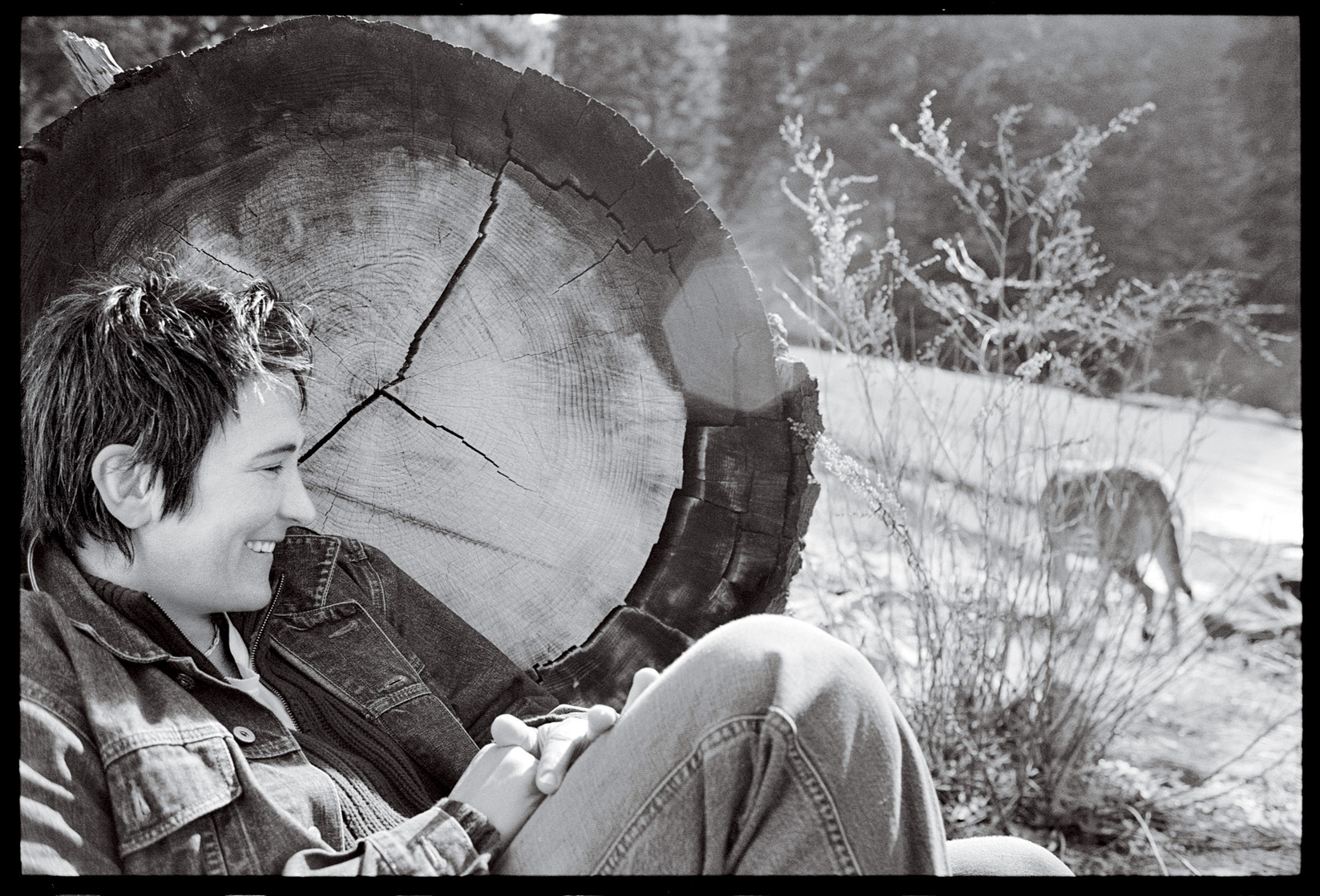 Picture of k.d. lang