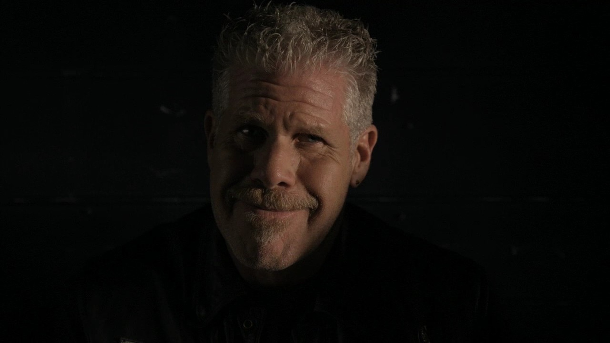 Picture of Ron Perlman