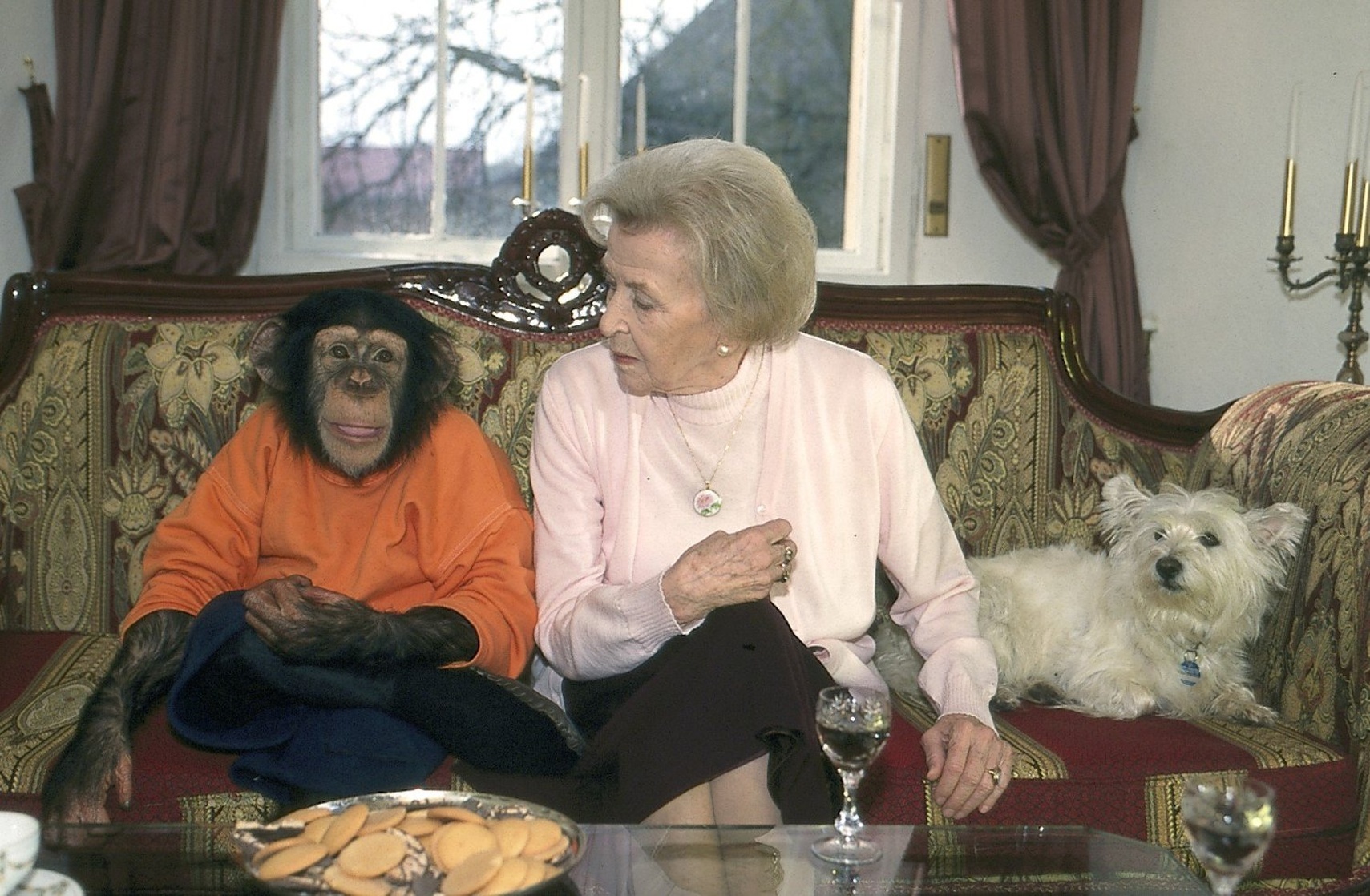 Unser Charly (1995- ) picture