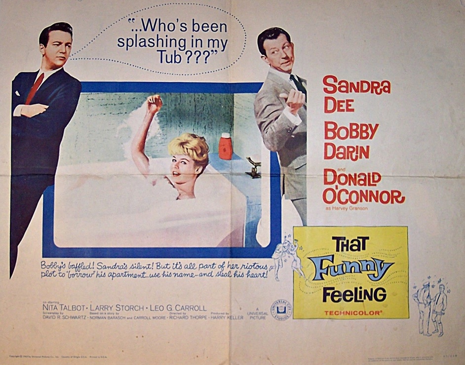 That Funny Feeling picture