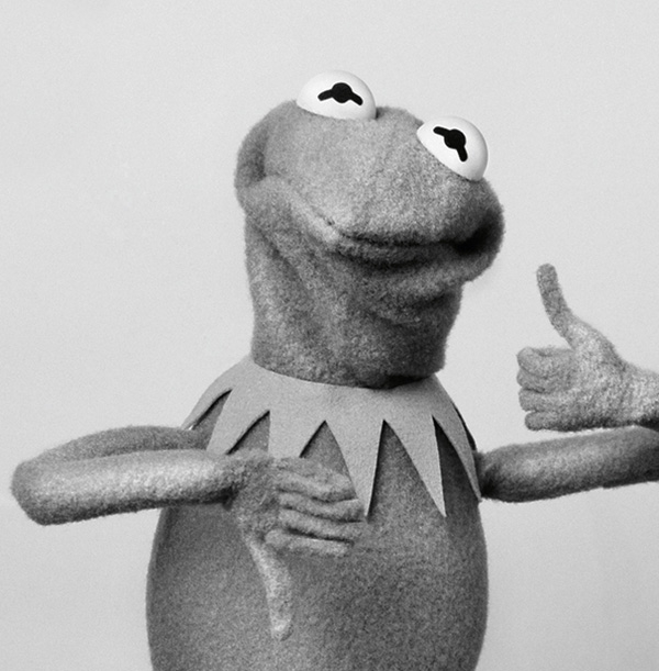 Picture of Kermit the Frog