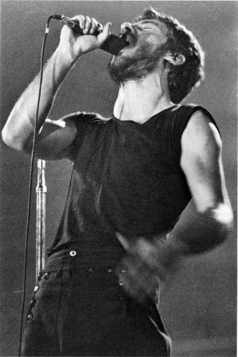 Picture of Bruce Springsteen