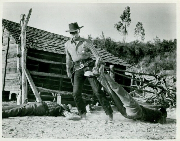 Picture of The Lone Gun