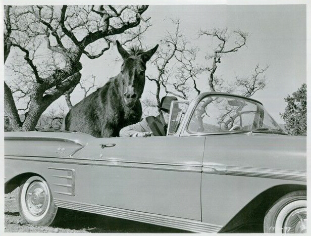 The Brass Bottle (1964) image