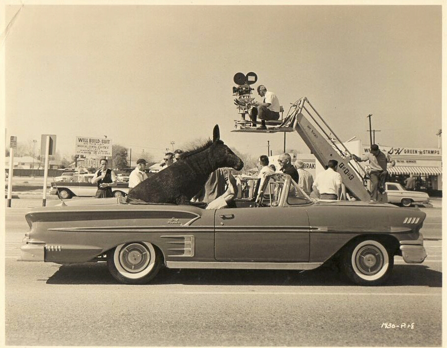 Picture of The Brass Bottle (1964)