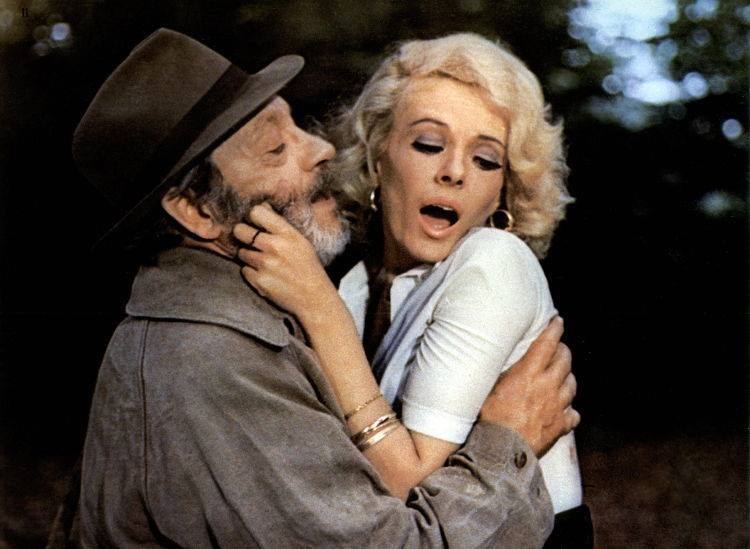 Picture of The Milky Way