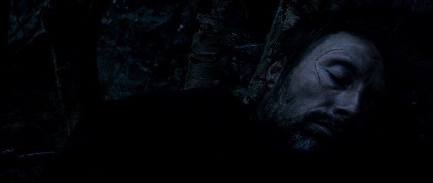Picture of Valhalla Rising