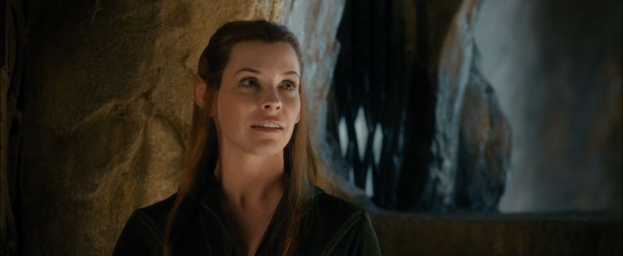 The Hobbit: The Desolation of Smaug image