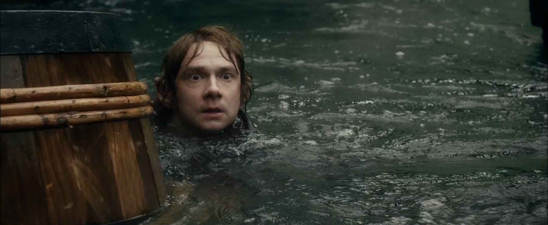 The Hobbit: The Desolation of Smaug picture