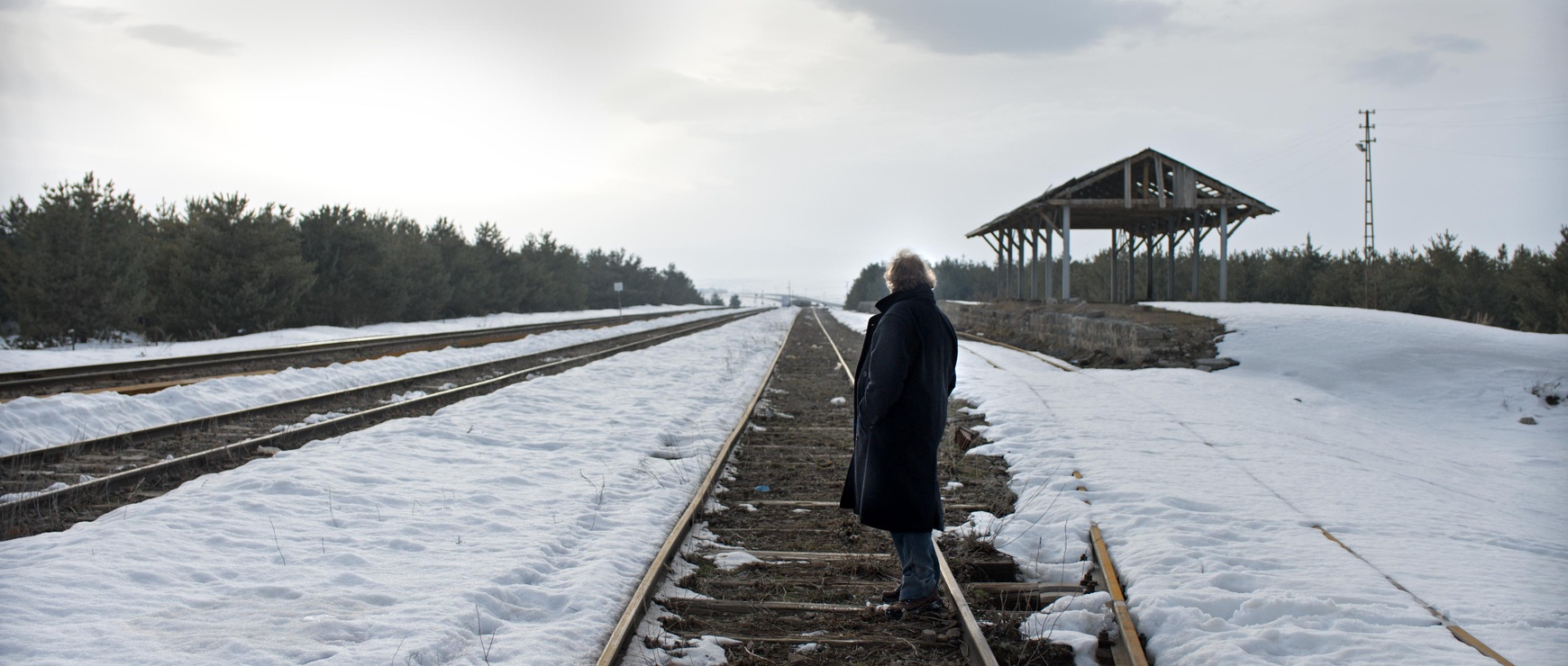 Picture of Winter Sleep (2014)