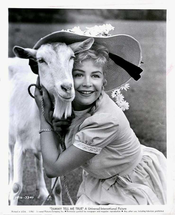 Image of Tammy Tell Me True (1961)