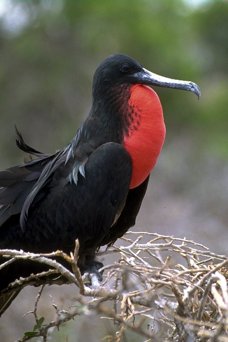 Listal - List the stuff you love! Movies, TV, music, games and books