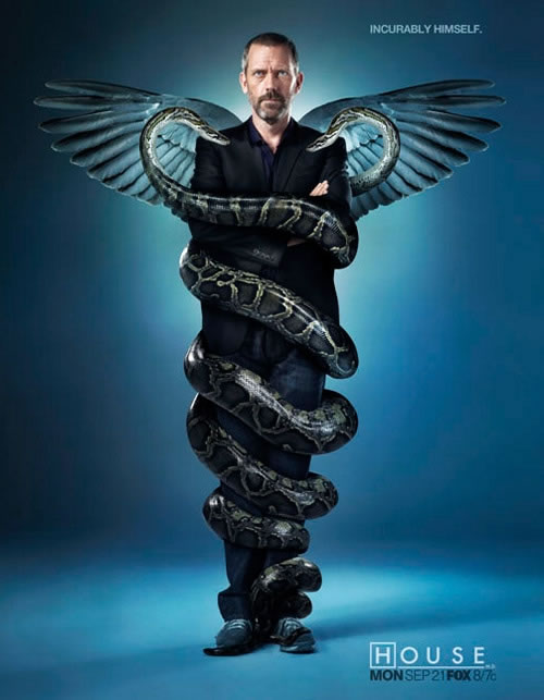 Picture of House M.D.