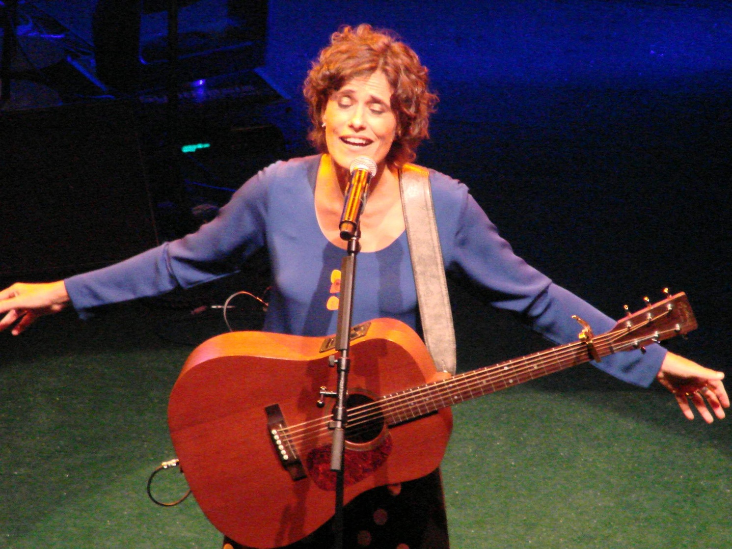 Picture of Zelia Duncan