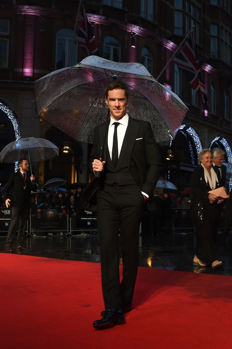 Benedict Cumberbatch picture