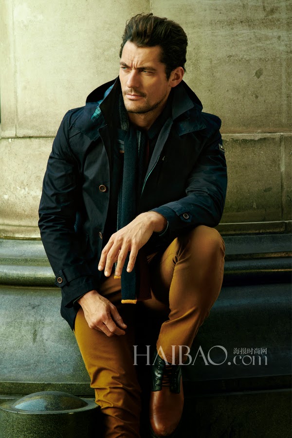 Picture of David Gandy