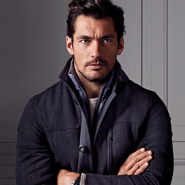 Picture of David Gandy
