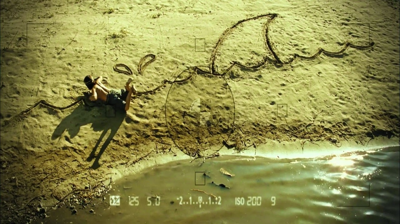 Picture of Castaway on the Moon