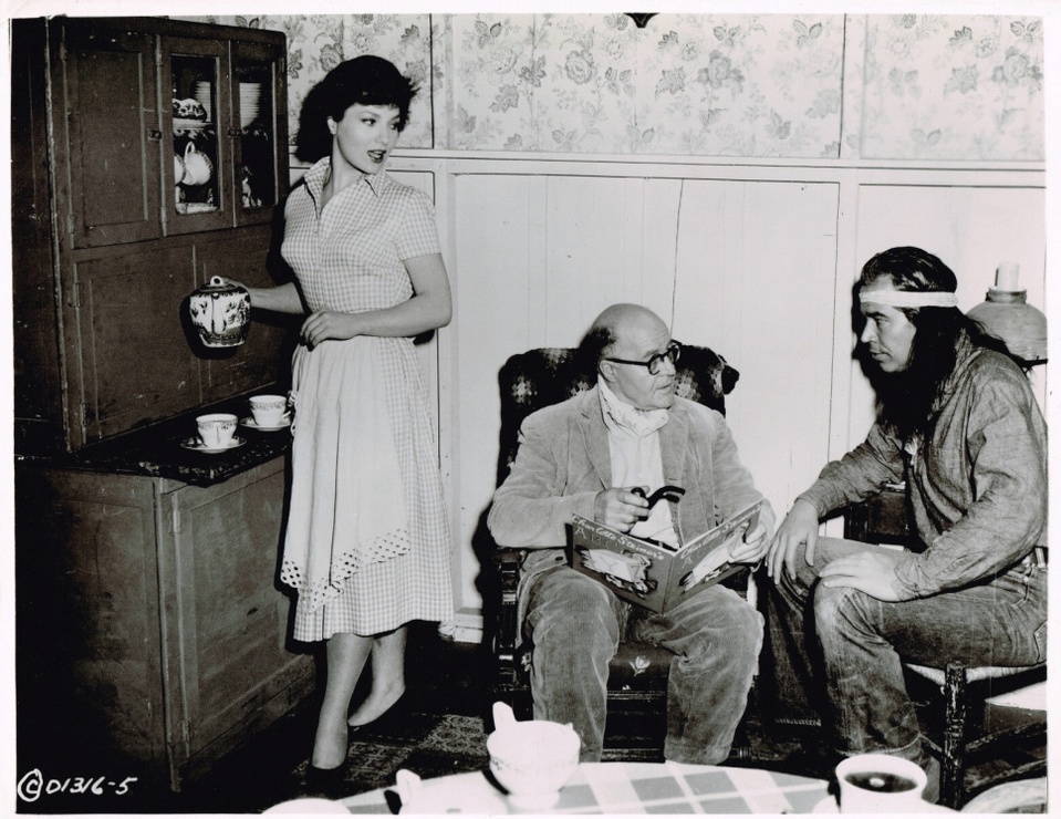 Picture of Secret of Treasure Mountain