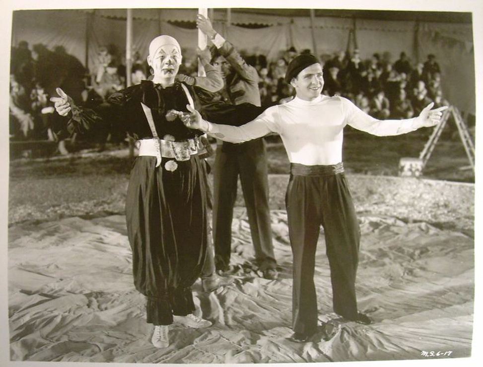 Image of The Gallant Fool