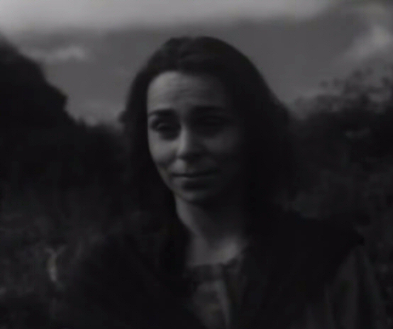 Picture of The Juniper Tree