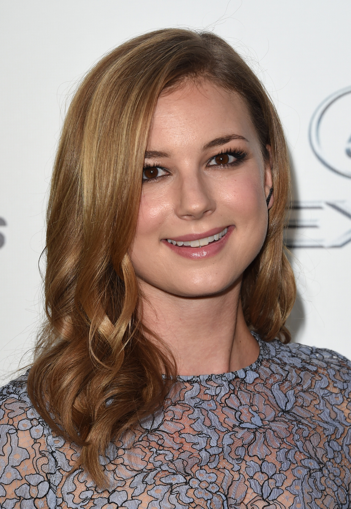 Picture of Emily VanCamp