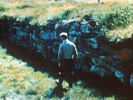 The Man Who Discovered America (1982) image