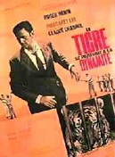 Picture of Our Agent Tiger