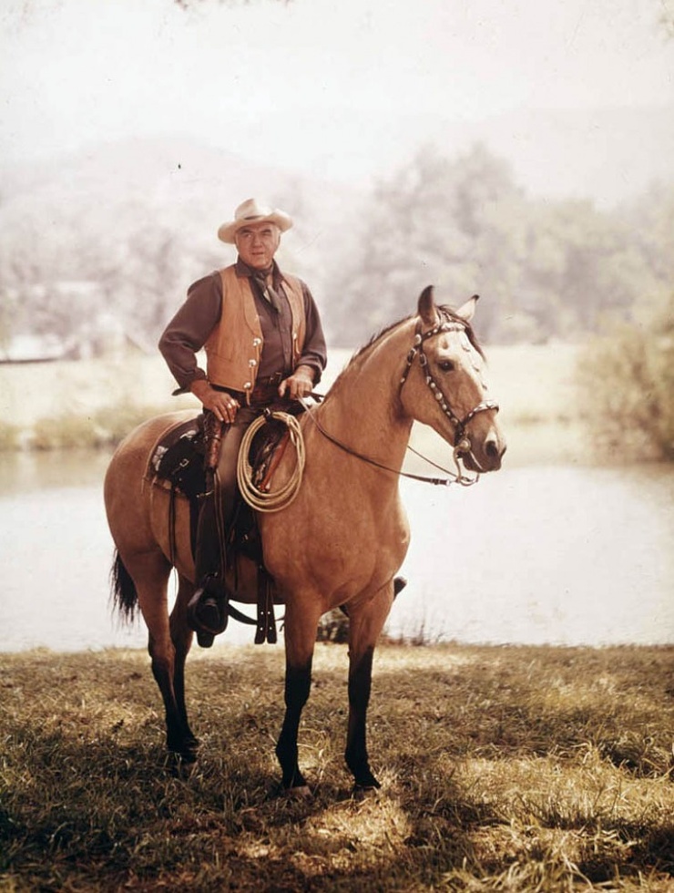 Image of Bonanza