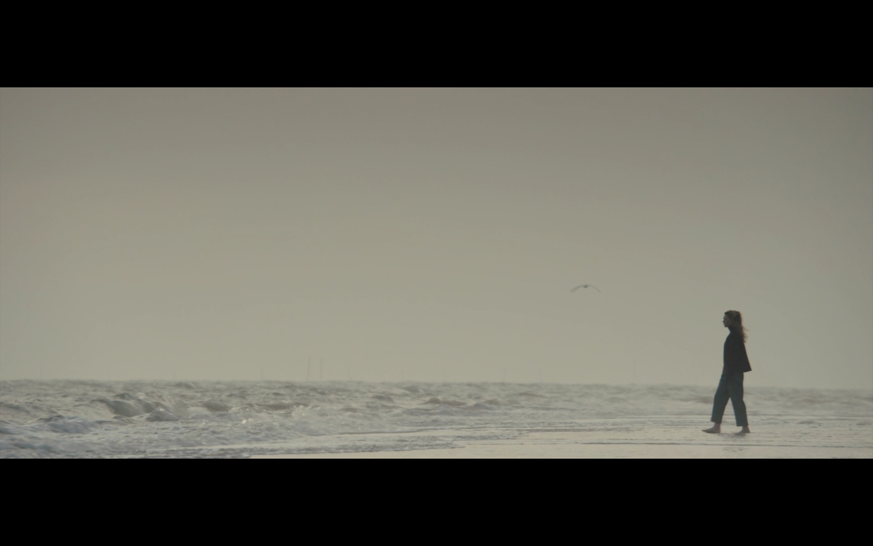 Picture of Sarah's Key