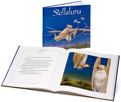 Picture of Stellaluna