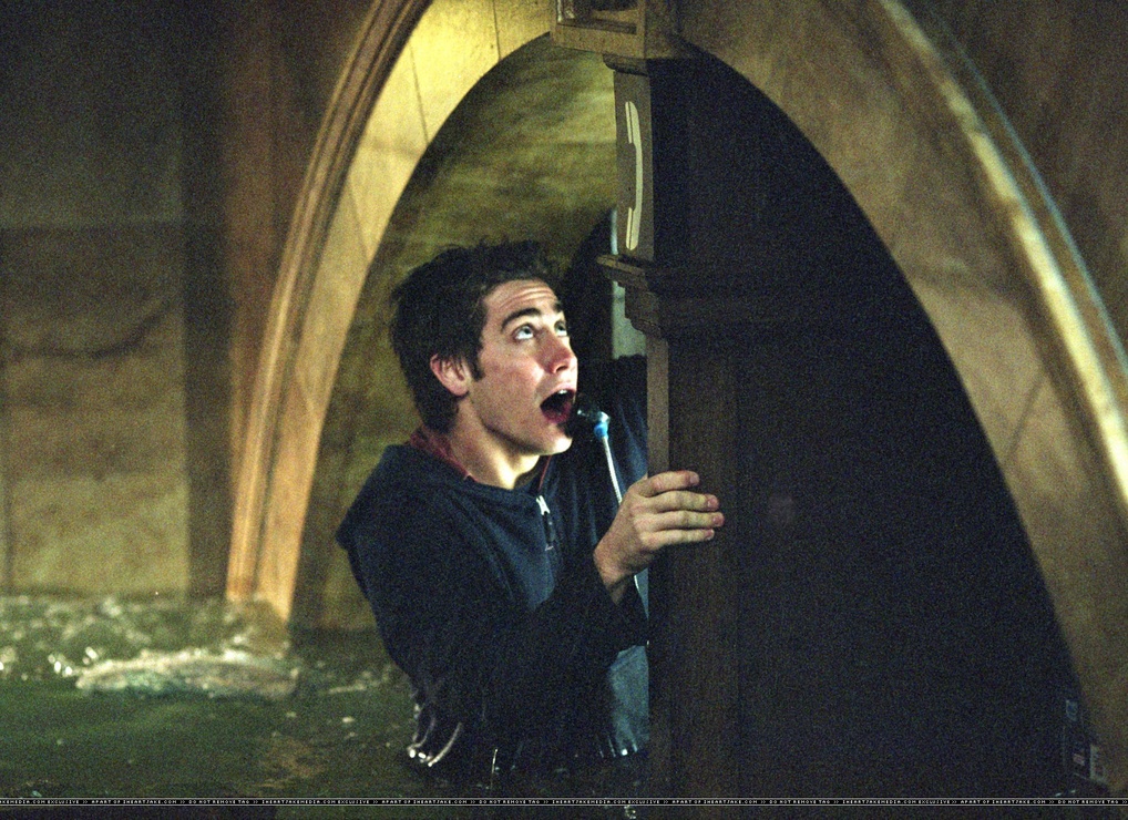 Jake Gyllenhaal picture