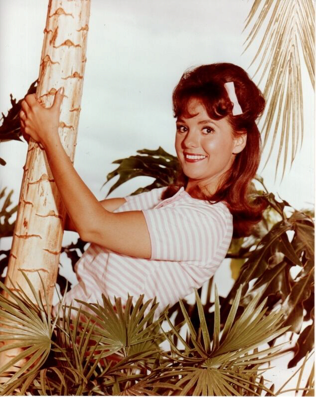 Picture of Dawn Wells