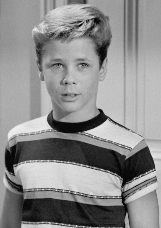 Image of Wally Cleaver