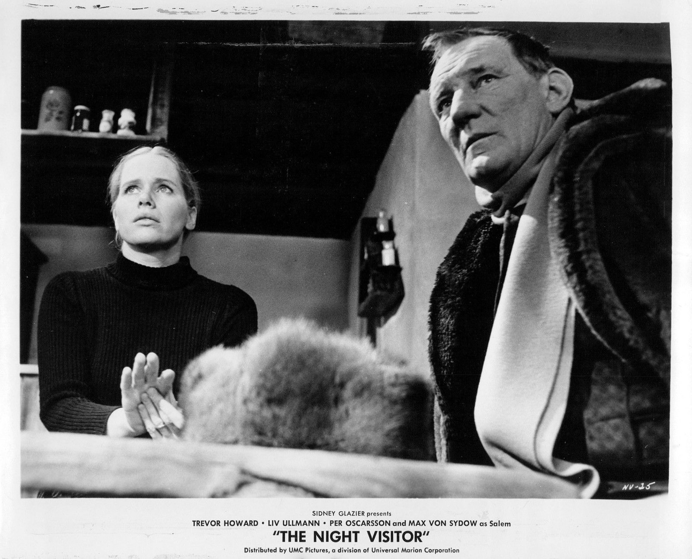 Image of The Night Visitor