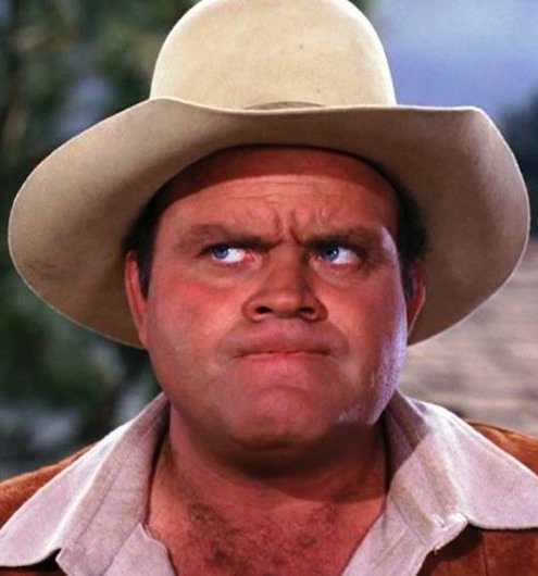 Image of Hoss Cartwright