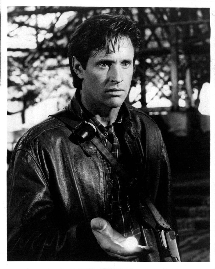 Picture of Robert Hays